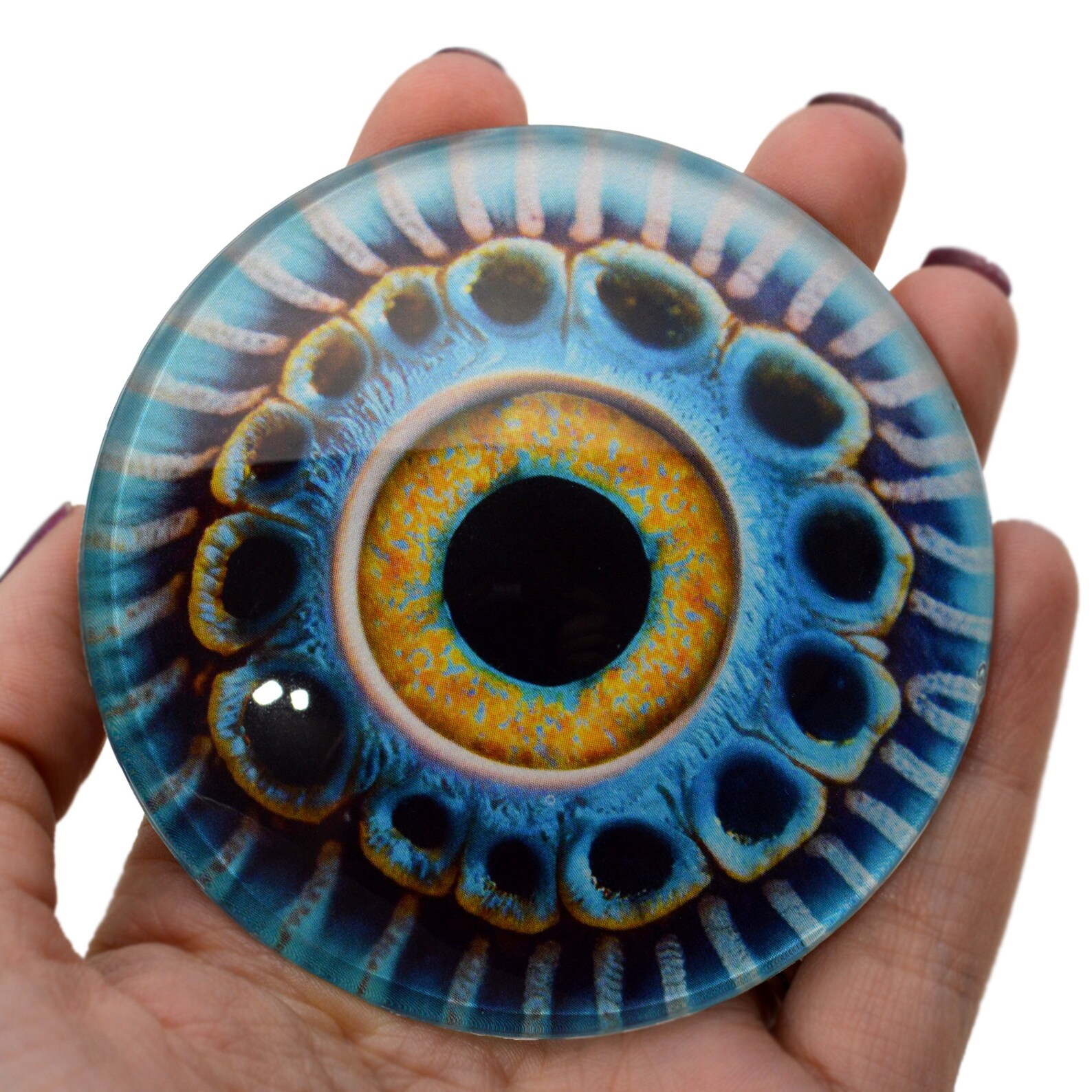 Kraken Glass Eyes Blue and Yellow Sea Monster Creature 6mm to 78mm ...