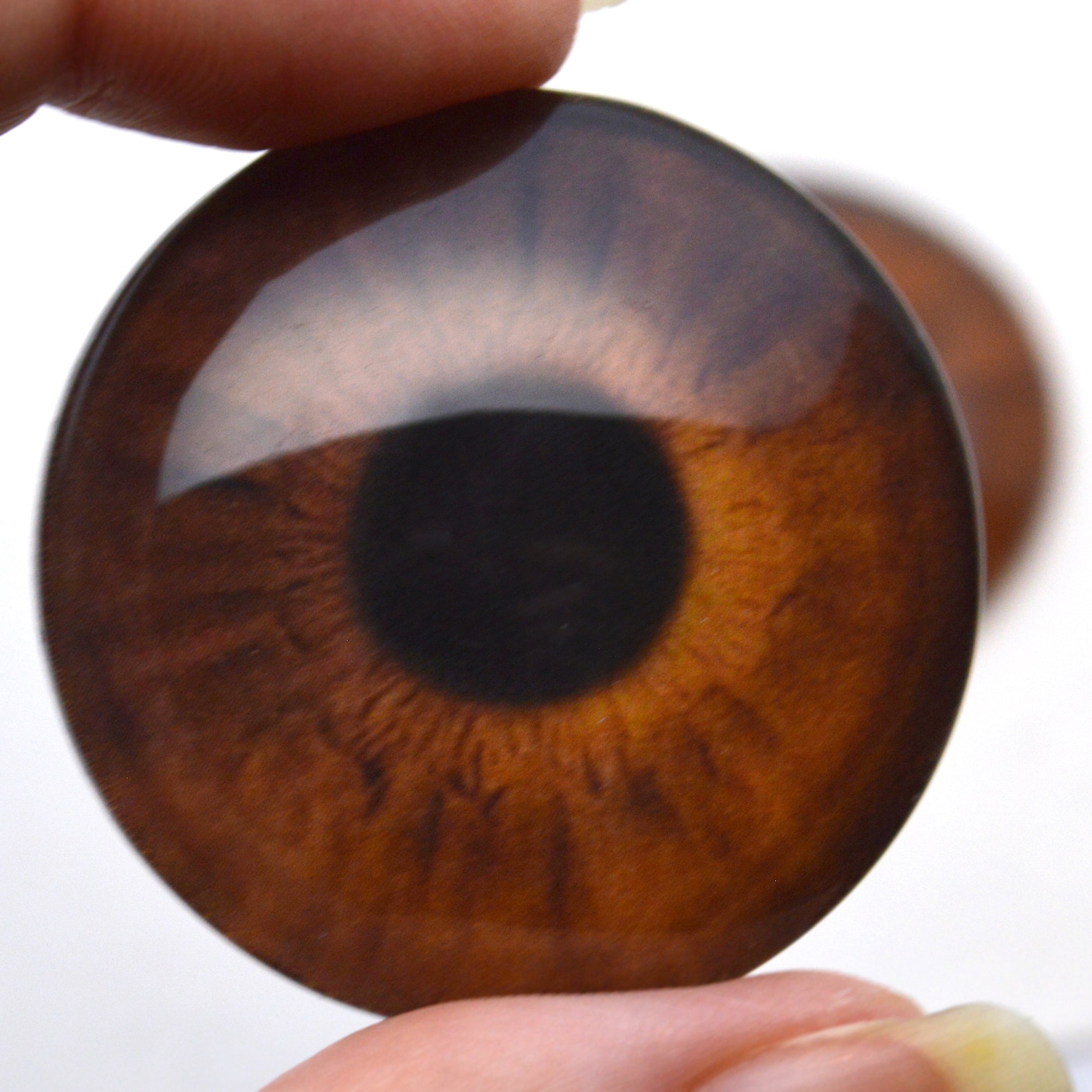 Medium Brown Realistic Human Glass Eyes 6mm to 40mm Jewelry - Etsy