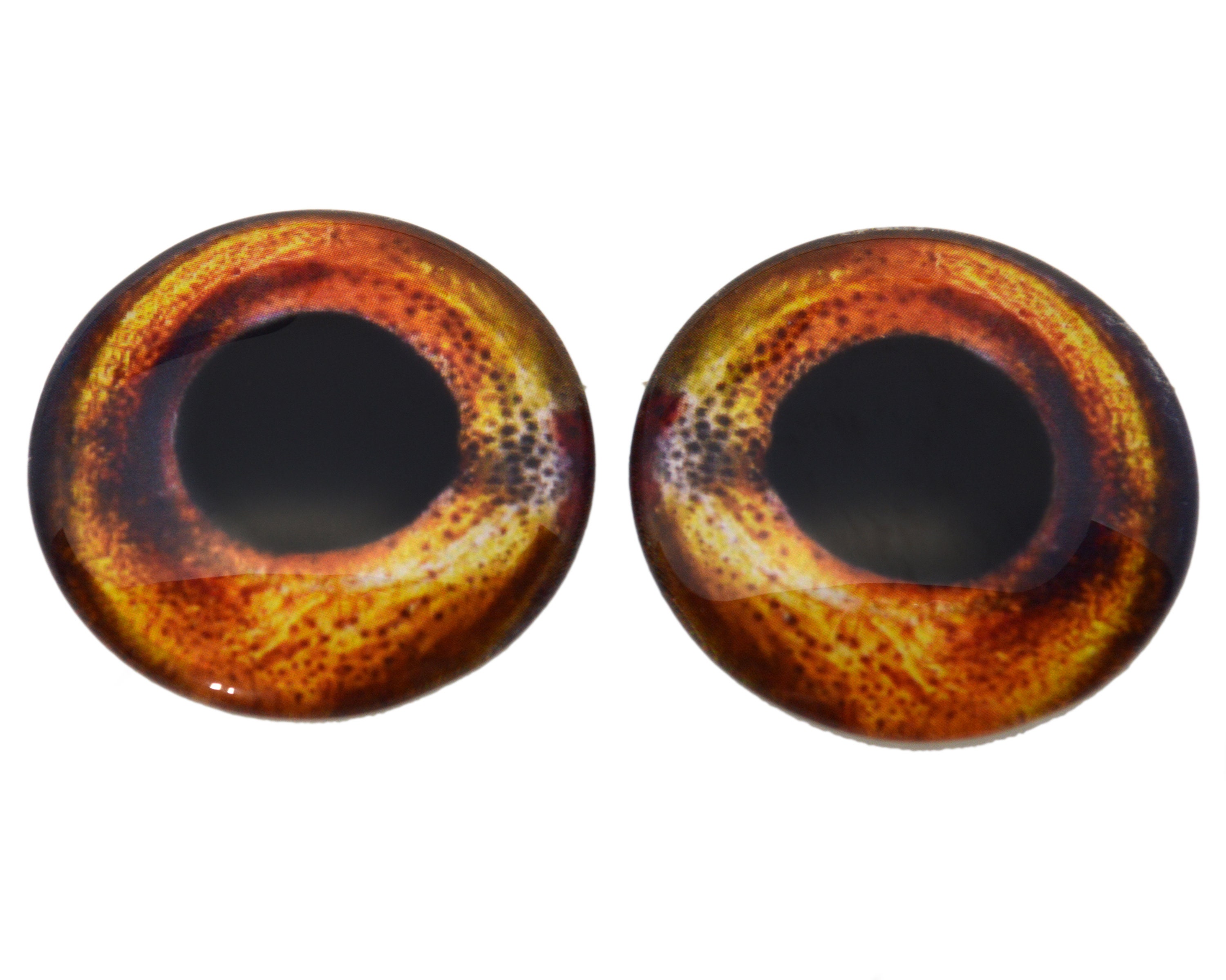 Roach Fish Glass Eyes Realistic Gold and Orange 6mm to 78mm Jewelry ...