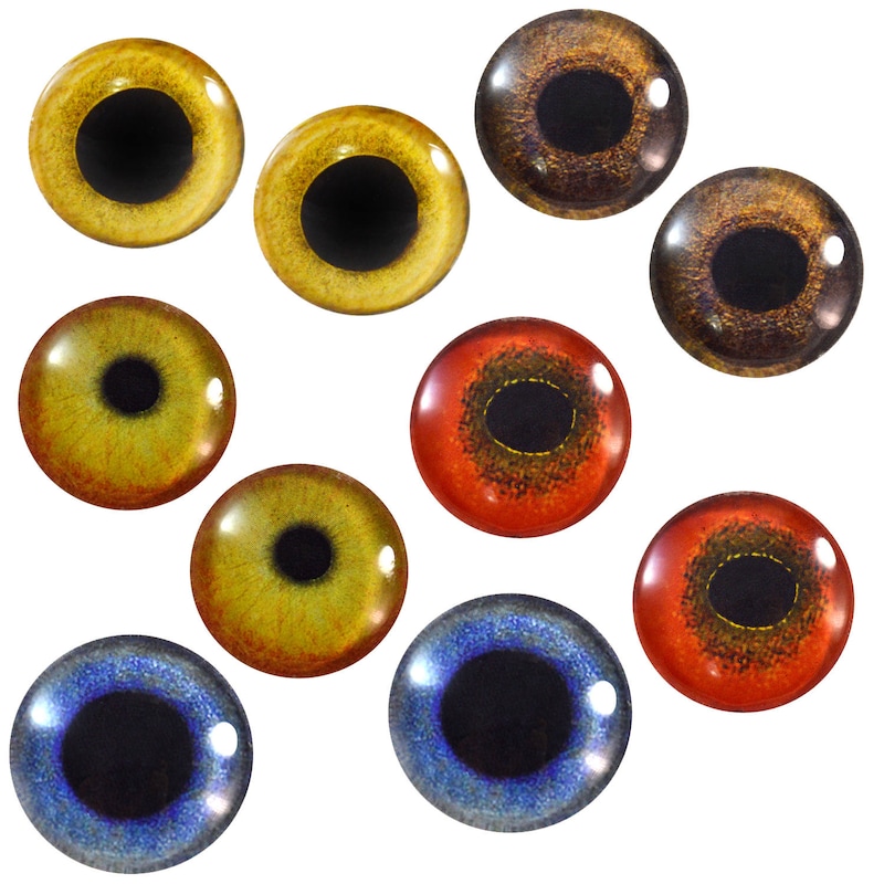 Glass Bird Eyes - Etsy