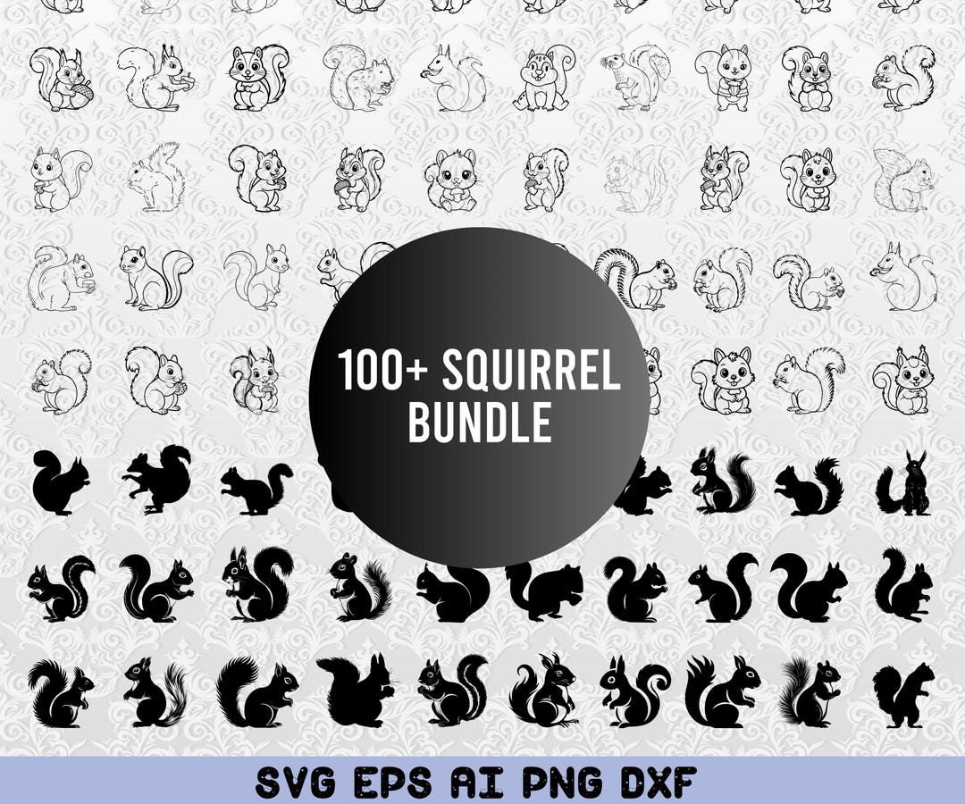 Squirrel SVG Bundles-squirrel SVG Files for Cricut-squirrel Clipart ...