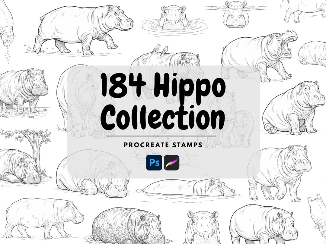 184 Hippo Stamp Brushes for Procreate, Photoshop & Photopea ...