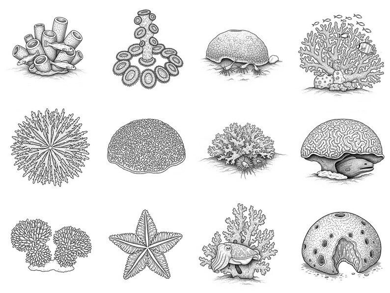 150 Coral Reef Stamp Brushes for Procreate – Digital Download | Ocean ...