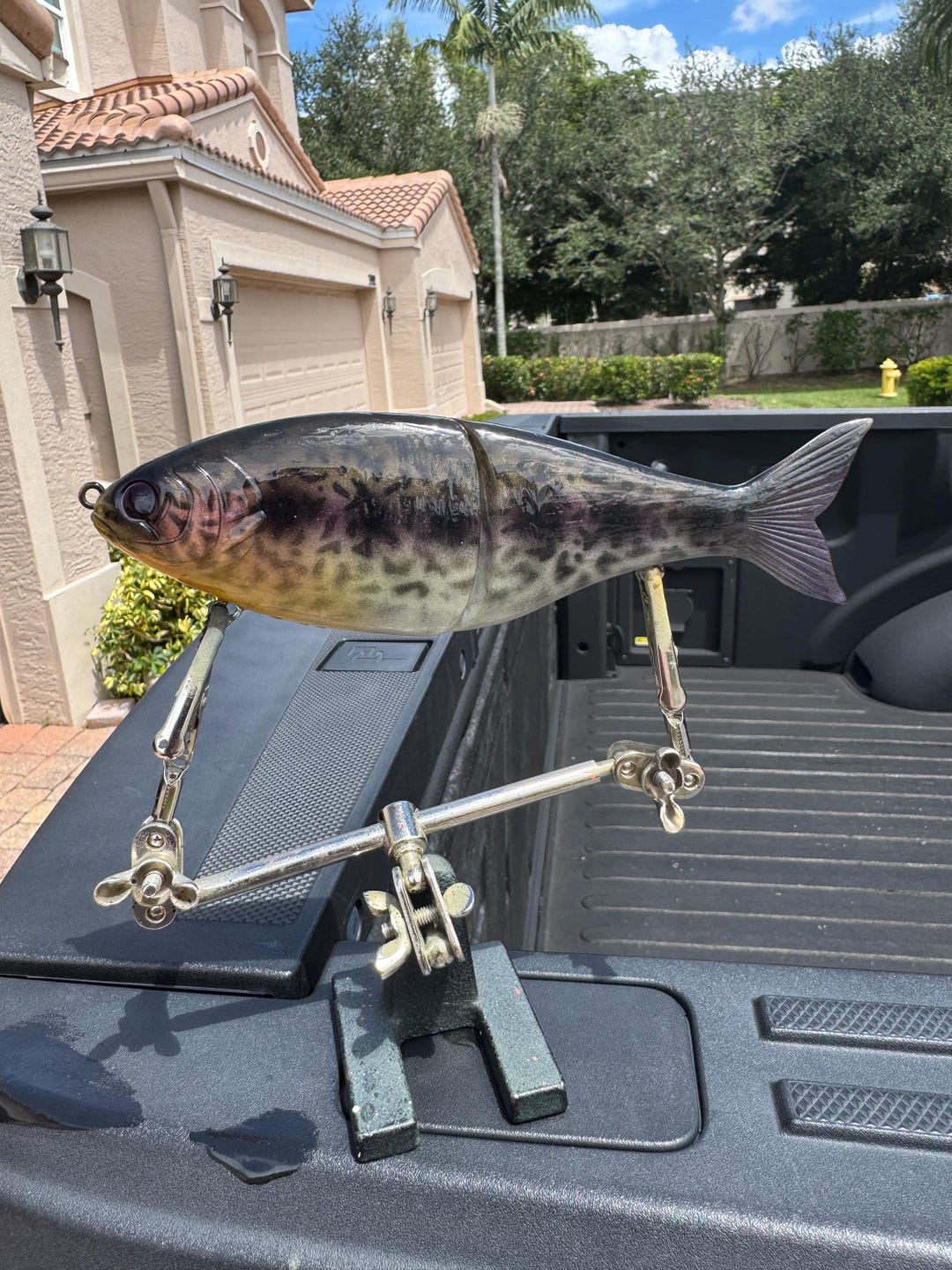 Custom Painted “jaguar Guapote Cichlid” Glide Bait - Etsy