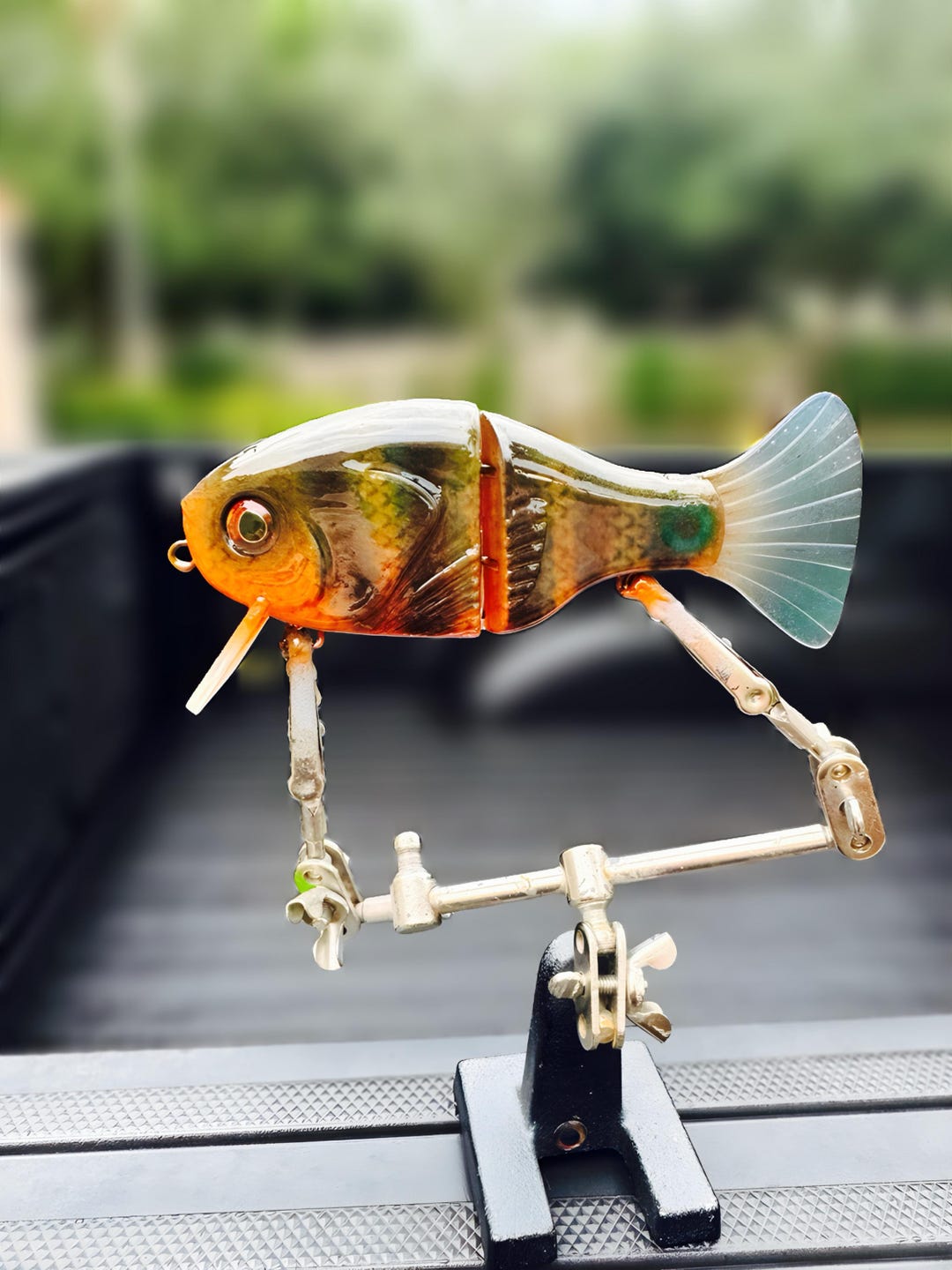 Custom Painted “ryan’s Mayan” Mayan Cichlid Pattern Glide Bait - Etsy