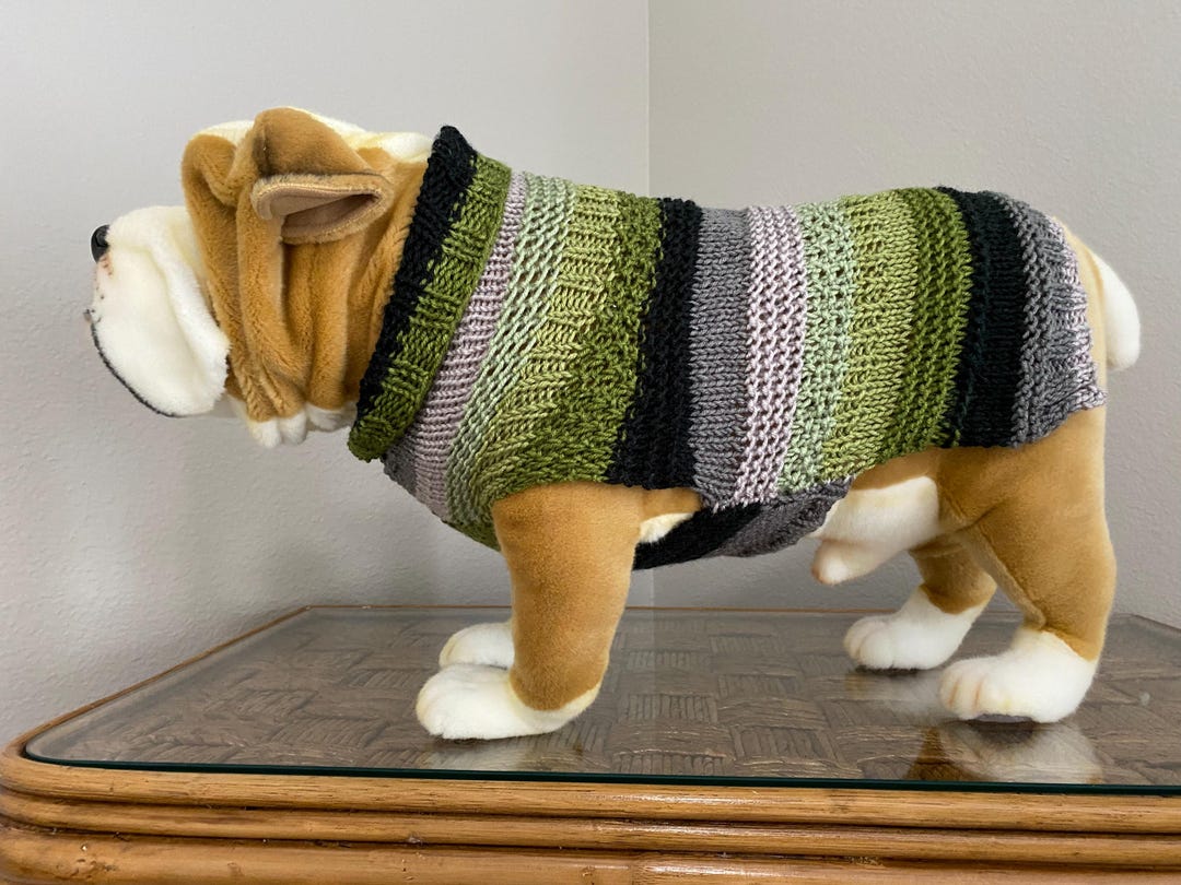 English Bulldog Sweater a Walk in the Park 18” Long - Etsy