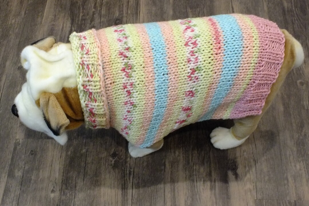 English Bulldog Hand Knit Sweater for Big Bully Girl - Etsy