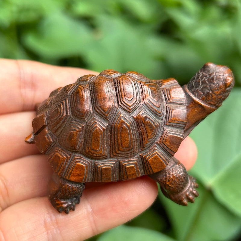 Carved Wood Box Turtle - Etsy