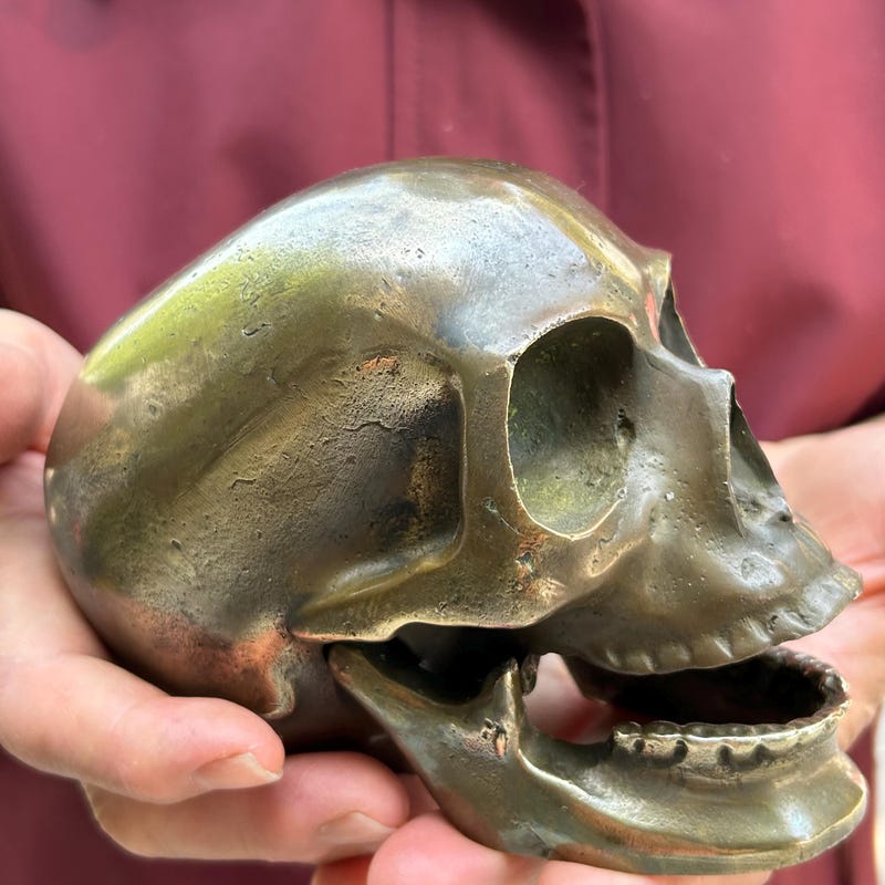 Bronze Sculpture Skull - Etsy