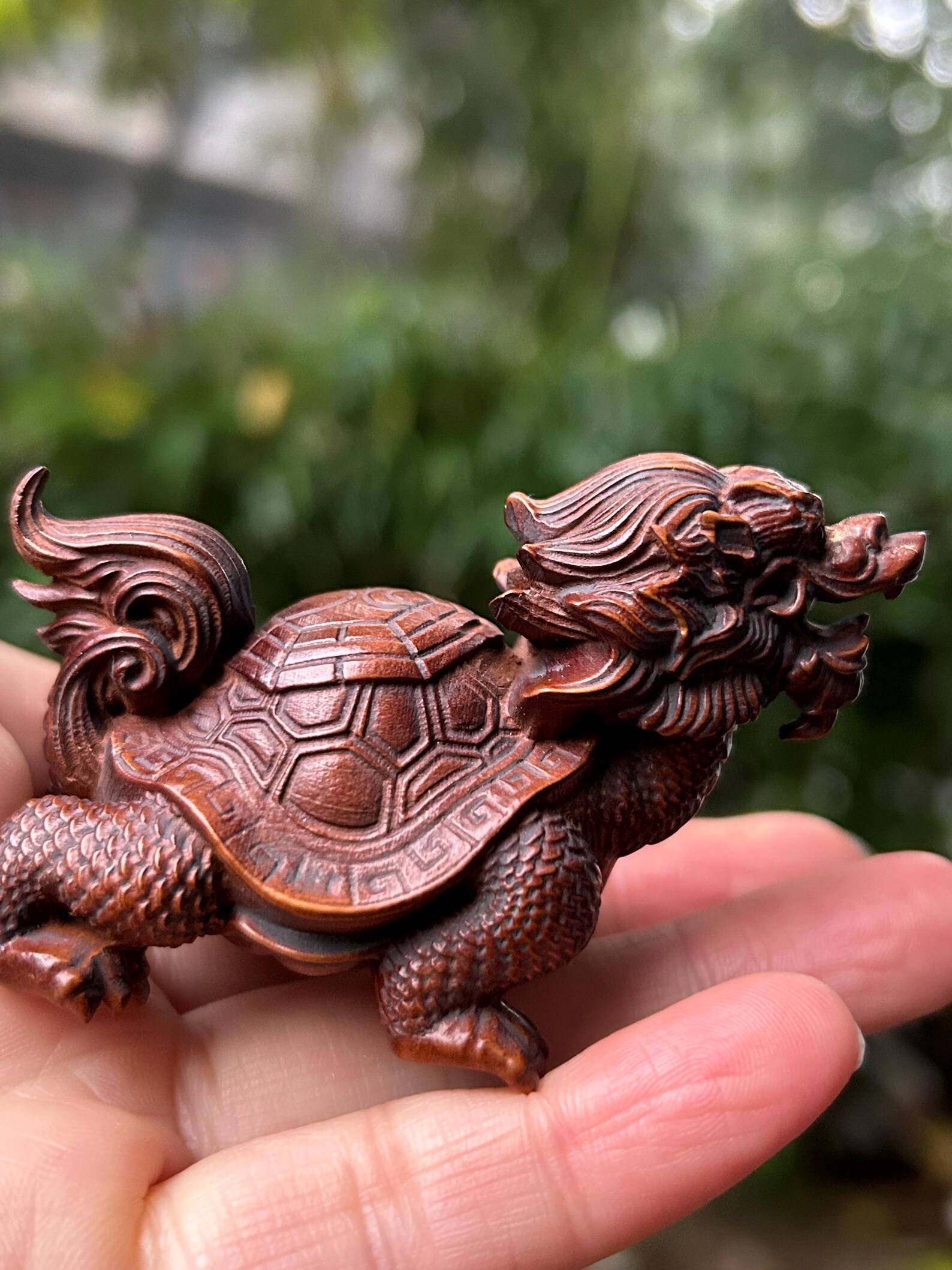 Boxwood Wood Carved Dragon Turtle Statue, Vintage Lucy Loong Tortoise ...