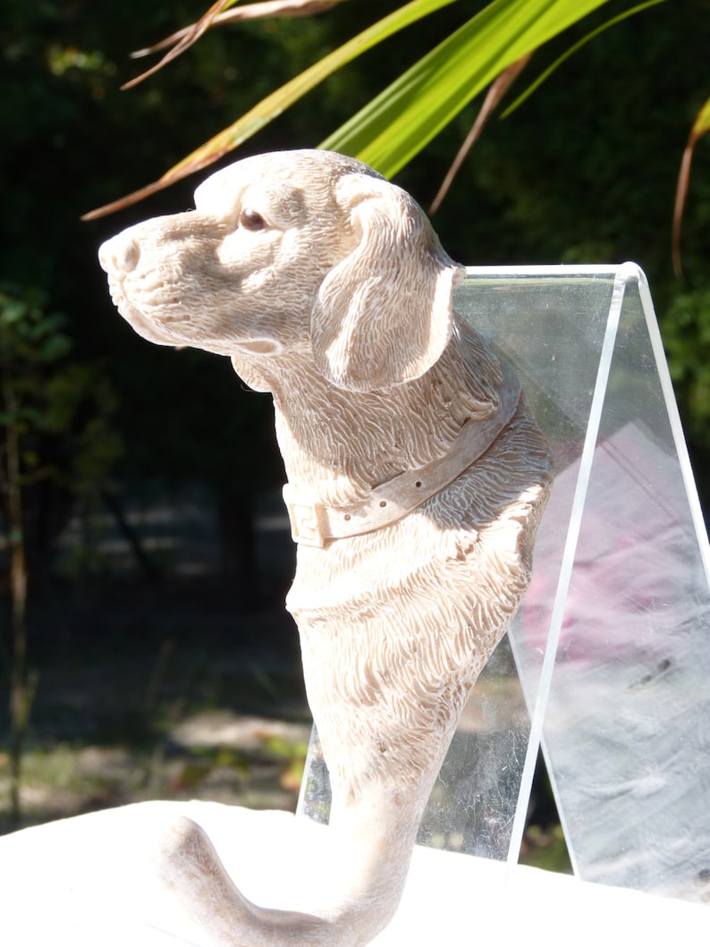 Vintage Resin Labrador Dog Coat Hook Beautifully Detailed - Etsy