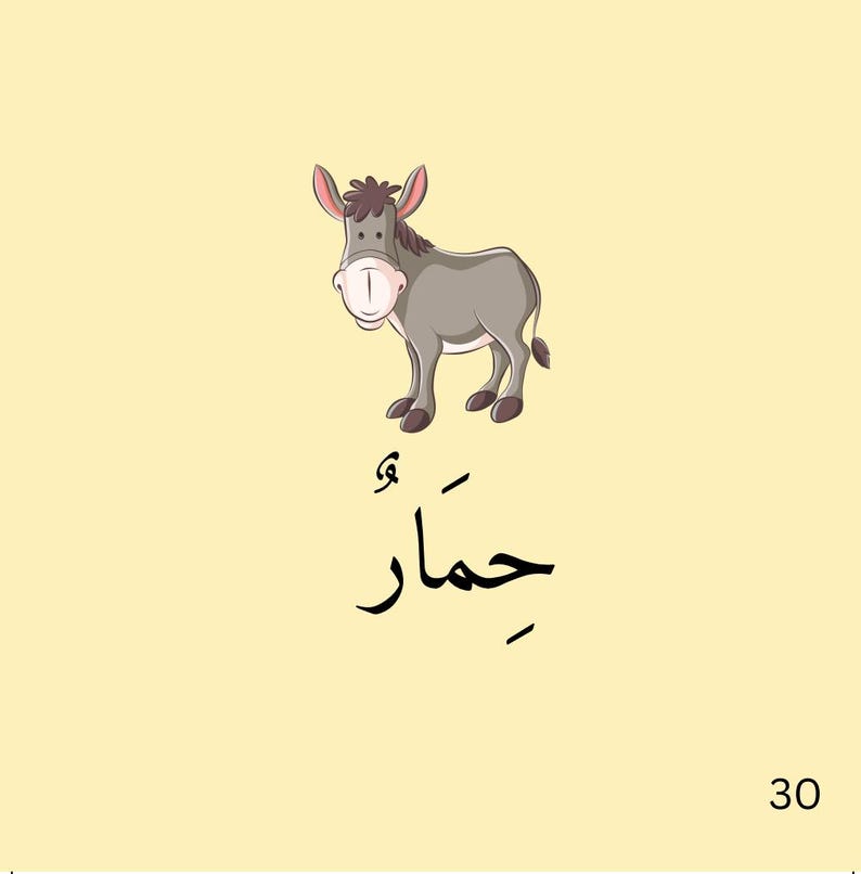 Arabic Reading Practice Book 1 | Introducing Objects, Beginner ...