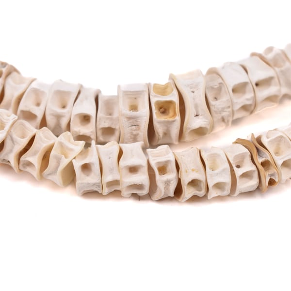 Fish Vertebrae Beads - Etsy