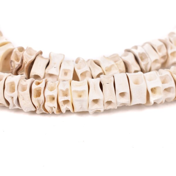 Fish Vertebrae Beads - Etsy
