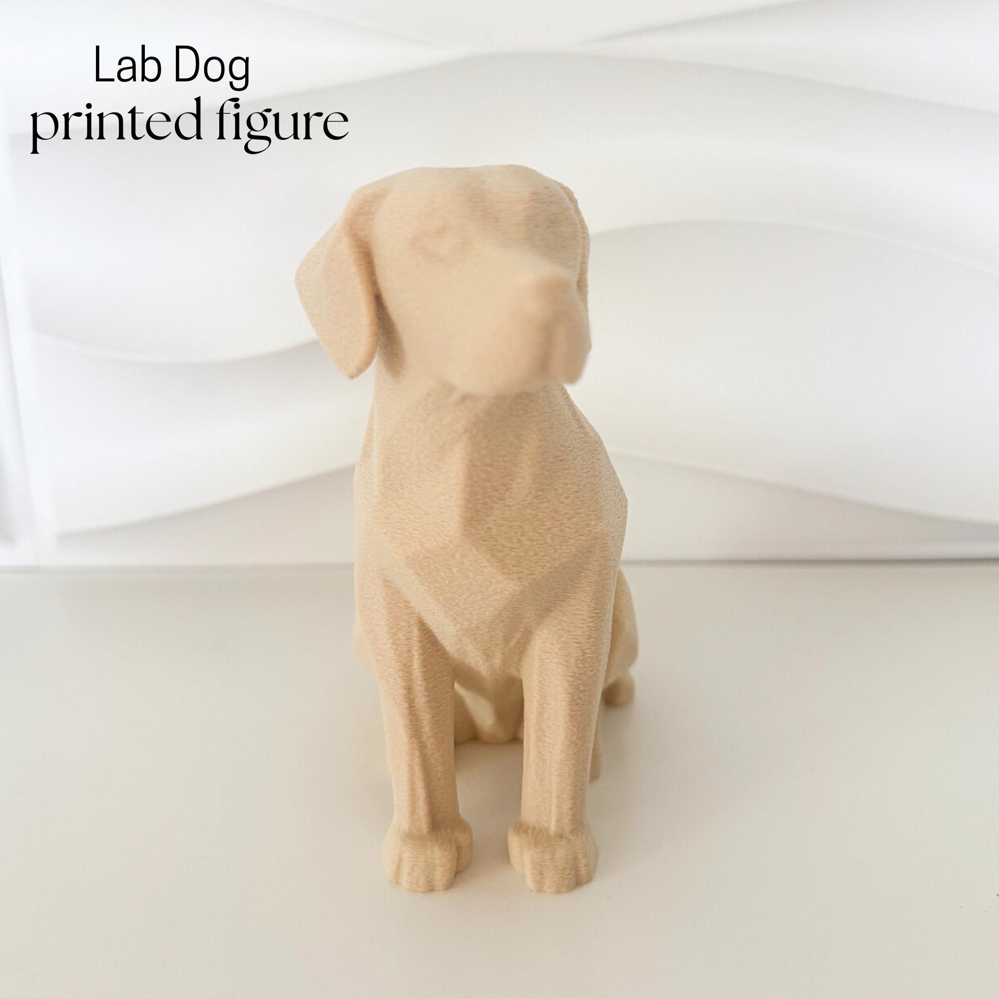 Labrador Retriever 3D Print Figure - Labrador Retriever Statue ...
