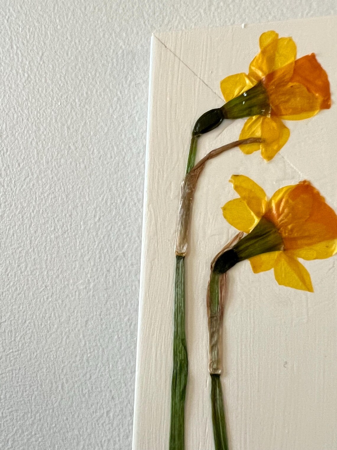 Pressed Daffodil Flower Mirror: Decorative Wood Frame - Etsy