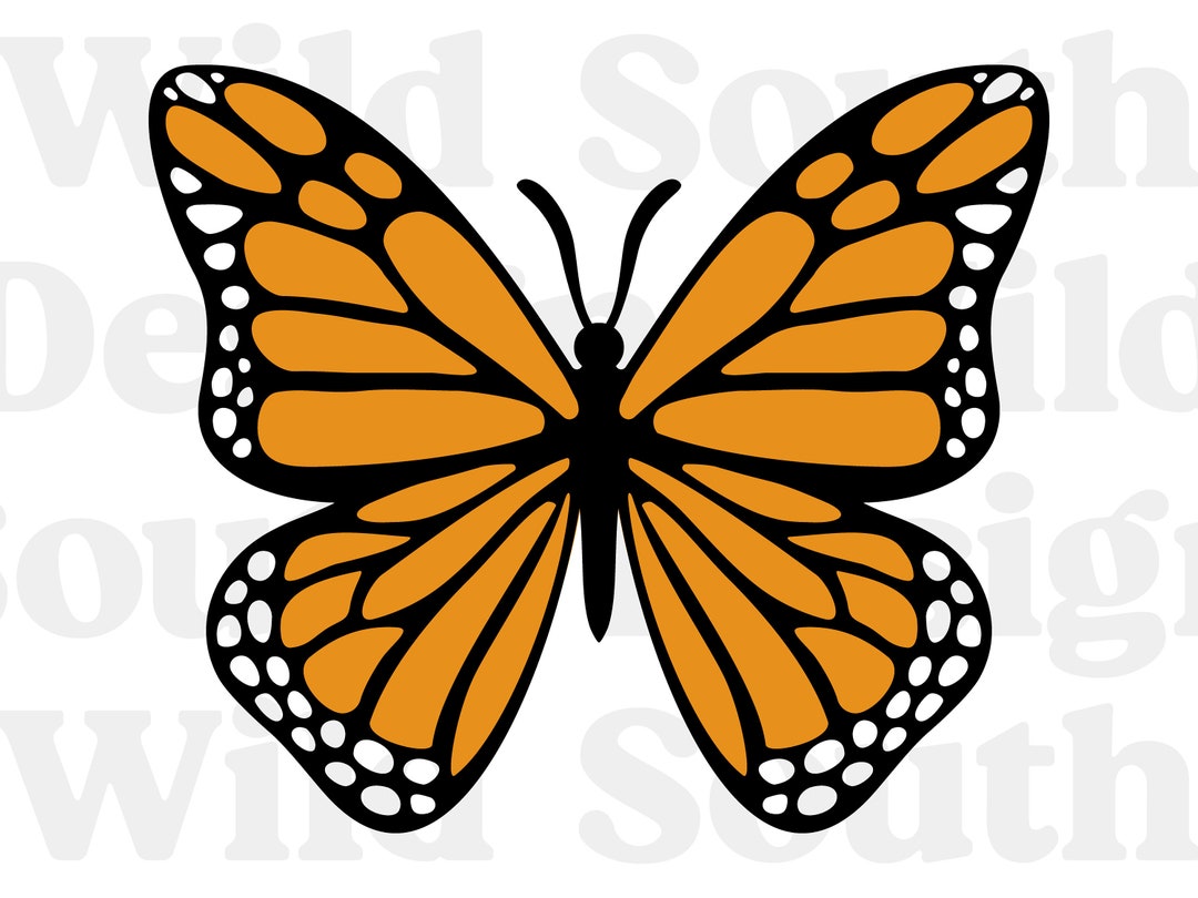 Monarch Butterfly Vector Art SVG Illustration Clipart Digital Download ...