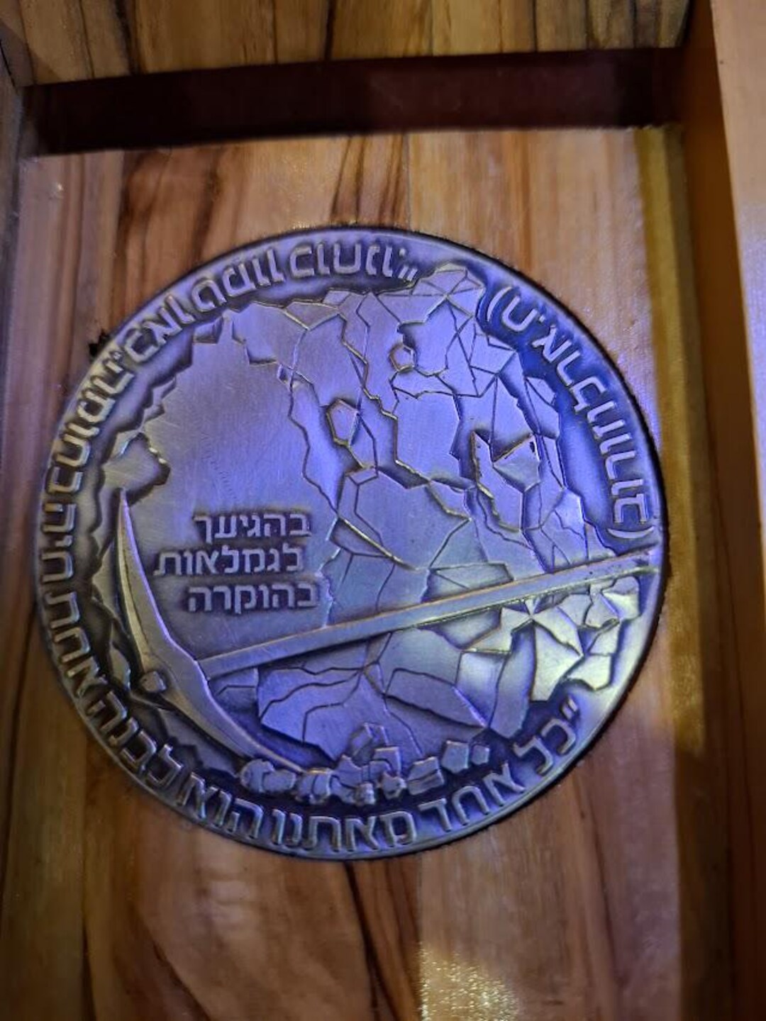 Israel Bronza Medal -solel-boneh Medal [ISR10212] - Etsy