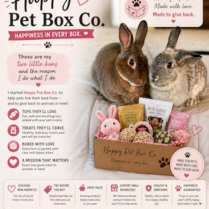 Binkie Bunny Foraging Box: Rabbit Treat Chew Assortment for Enrichment ...