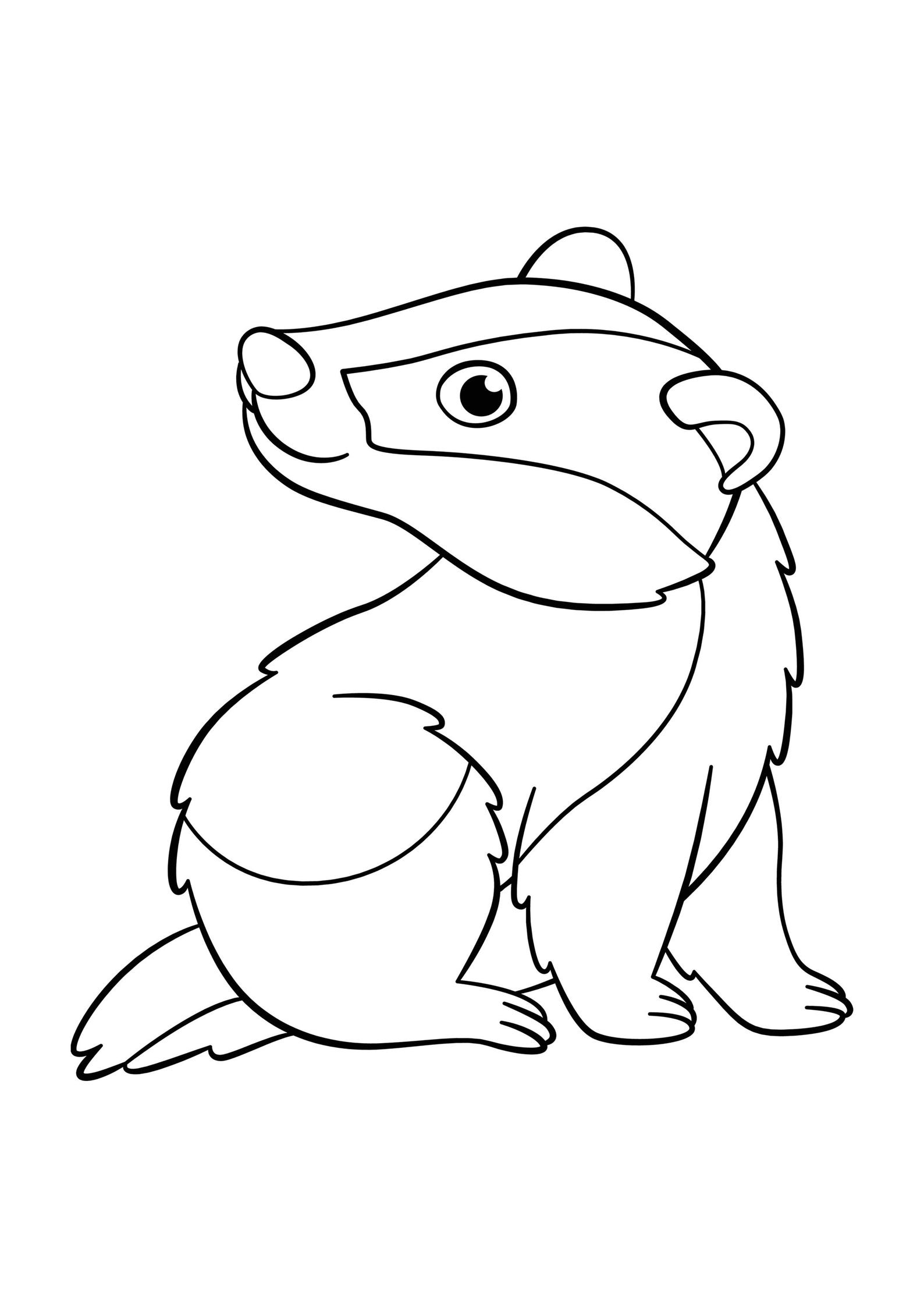 Woodland Animals Coloring Page: Forest Friends Printable (PDF) - Etsy
