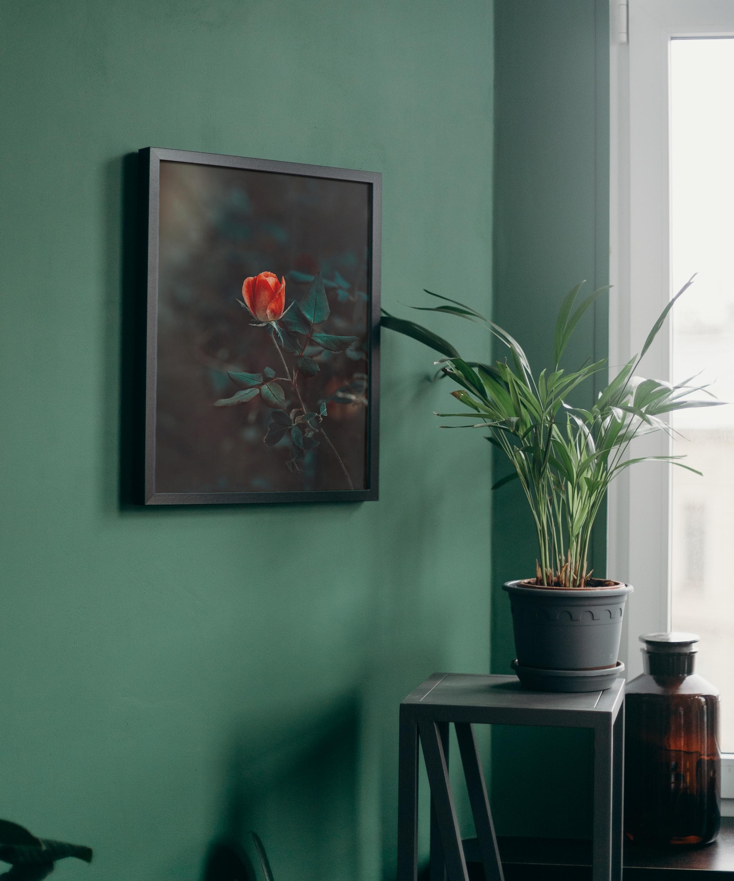 Solitary – Moody Red Rose Fine Art Print | Dark Botanical Wall Decor - Etsy