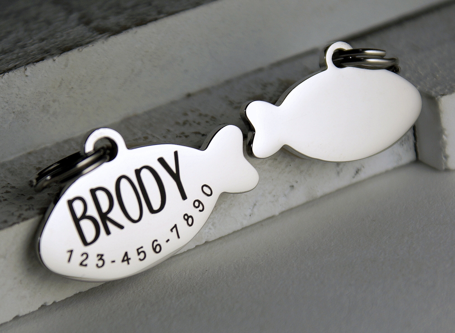 Cat ID Tag With Cat Name Tag ID Tag for Cats Stainless | Etsy