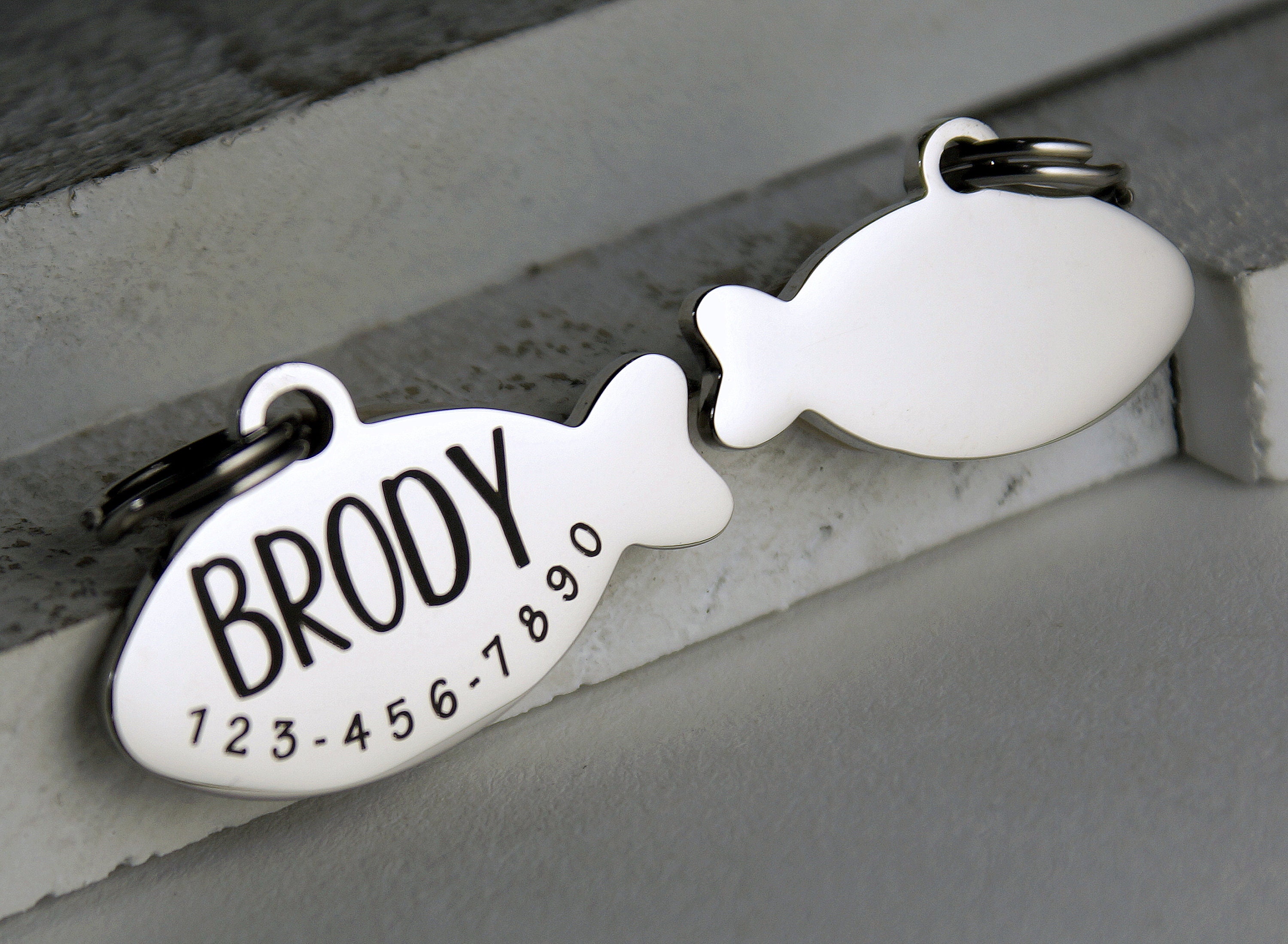 Cat ID tag with Cat Name Tag ID Tag for Cats Stainless | Etsy