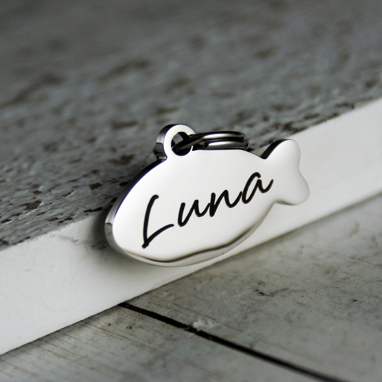 Cat ID Tag With Cat Name Tag ID Tag for Cats Stainless | Etsy