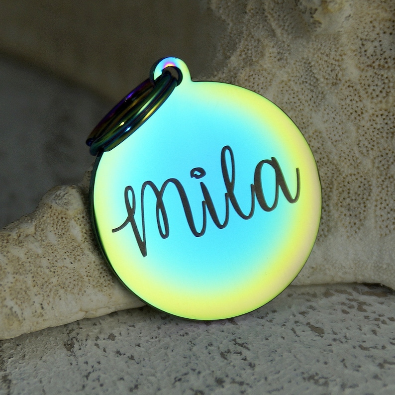 Personalized Rainbow Color Dog Collar Tag Dog Name Tag Pet - Etsy