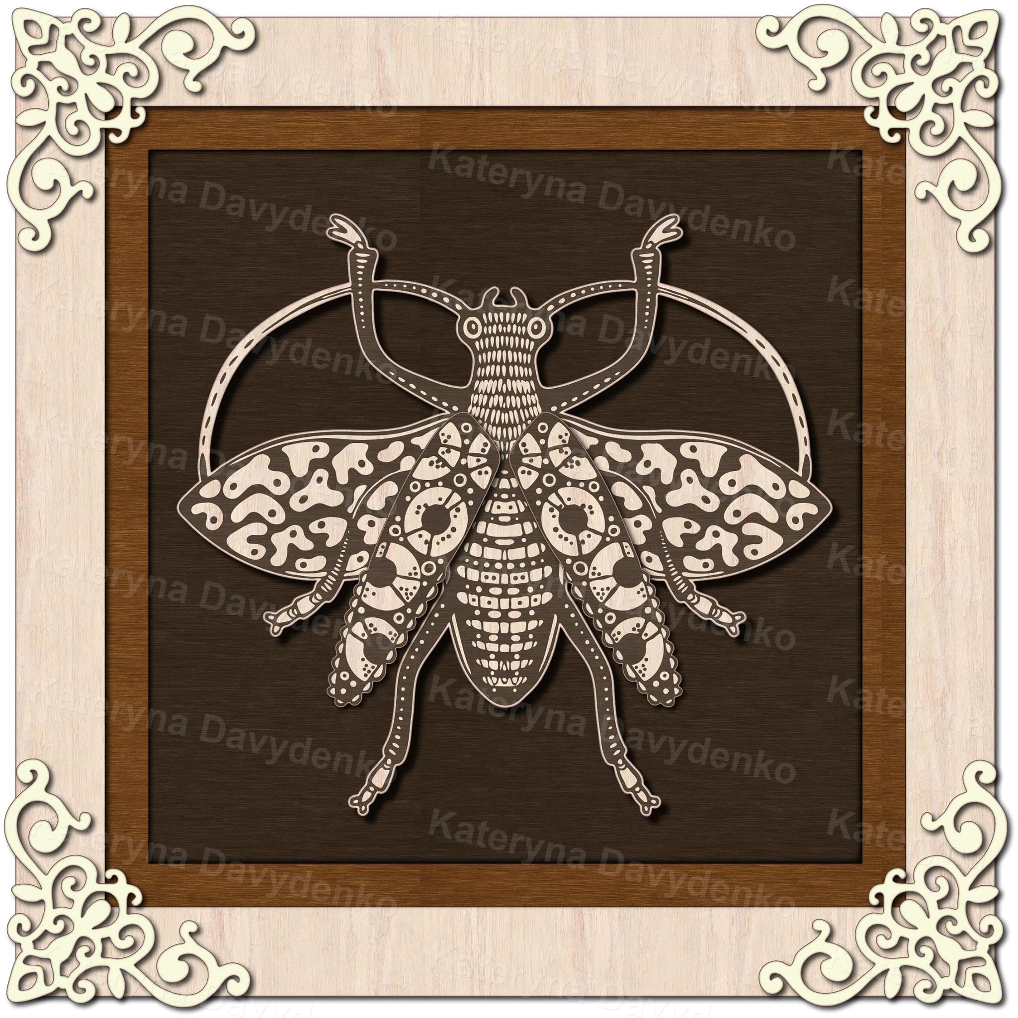 Beetle Laser Cut File – Engraved Insect Wall Art With Frame – DIY ...