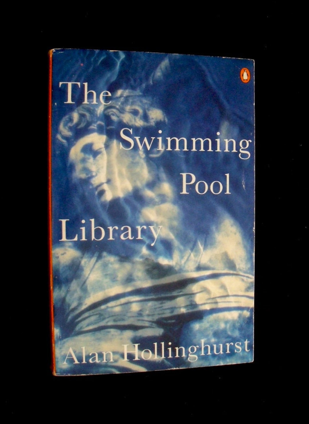 The Swimming Pool Library, Una novela de Alan Hollinghurst libro de ...