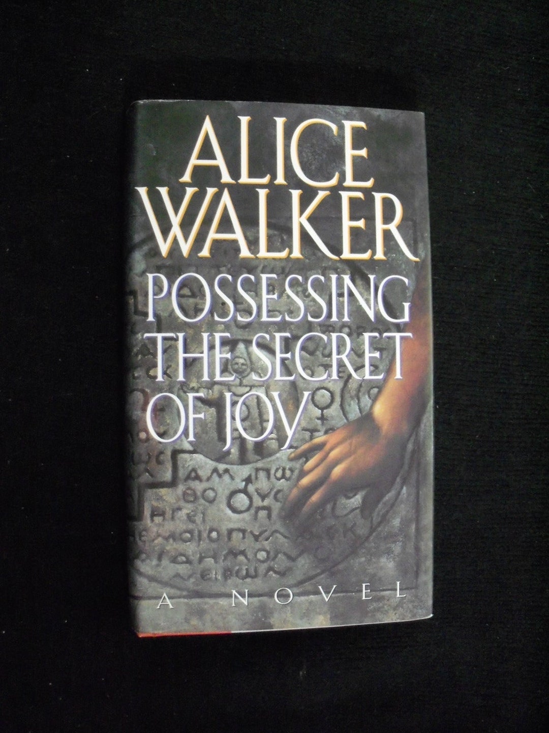 Possessing the Secret of Joy by Alice Walker first Edition - Etsy