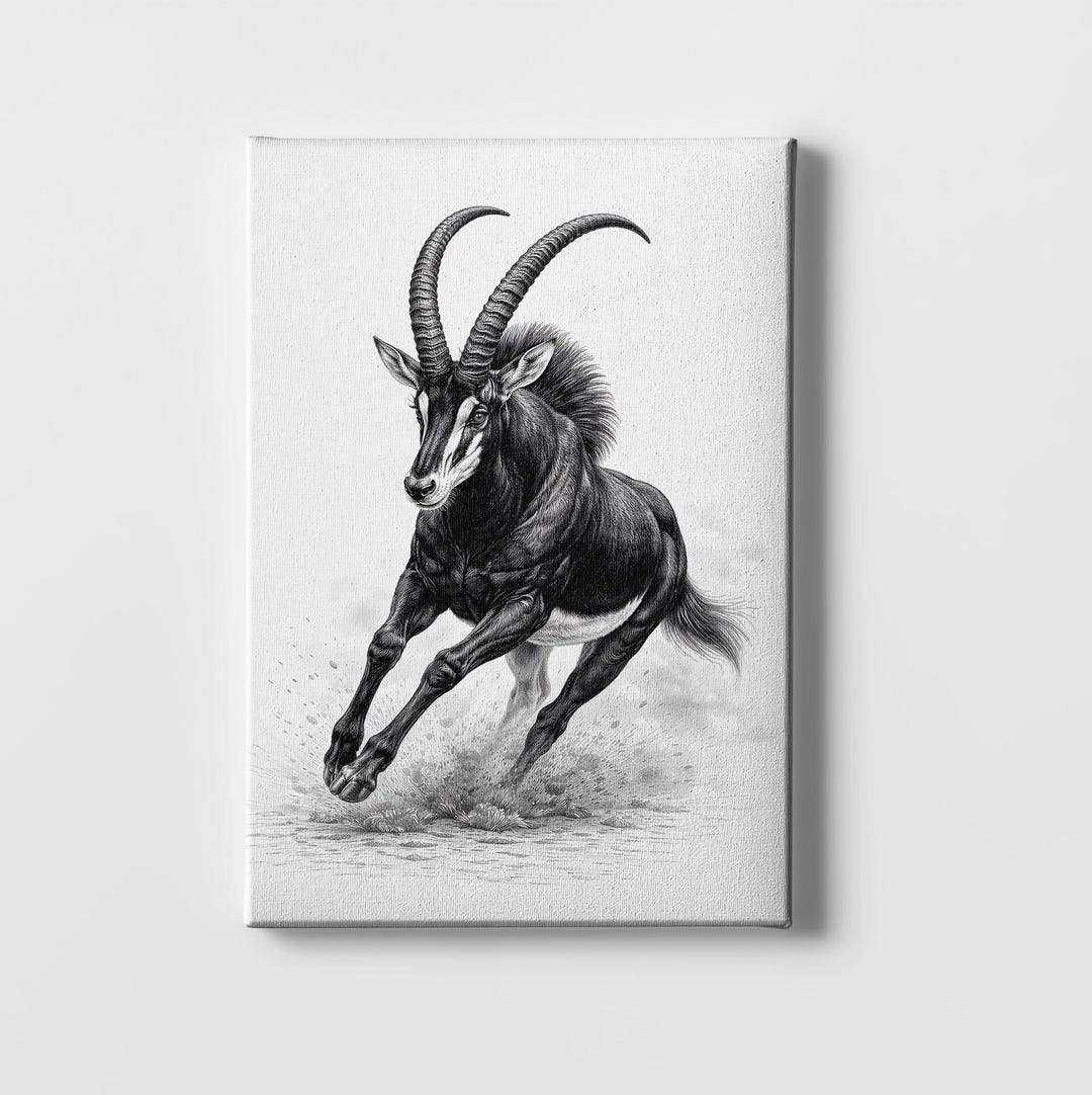 Sable Antelope Canvas Print, Running Wildlife Sketch, Black and White ...