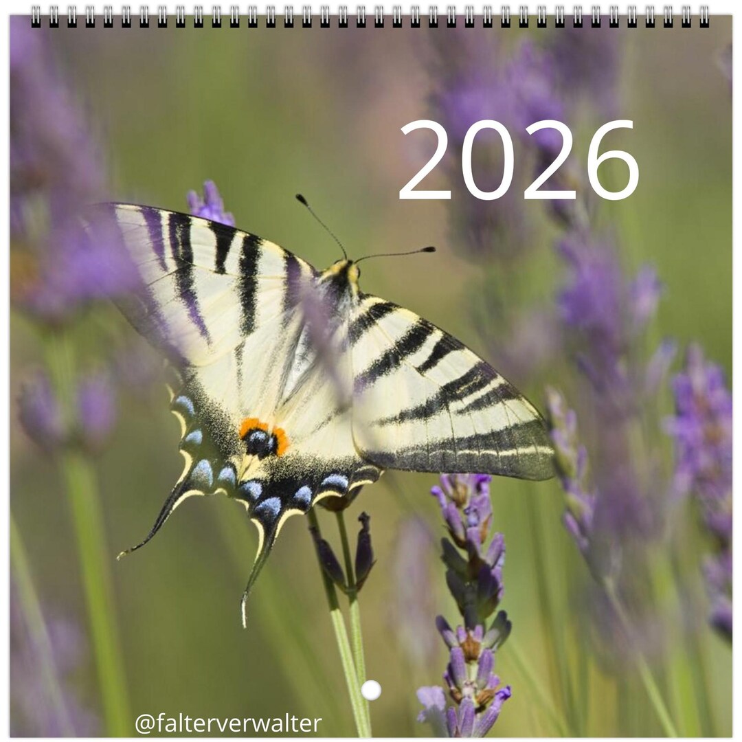 Square, Inspiring Nature Wall Calendar 2026 for Lovers of Flowers and ...