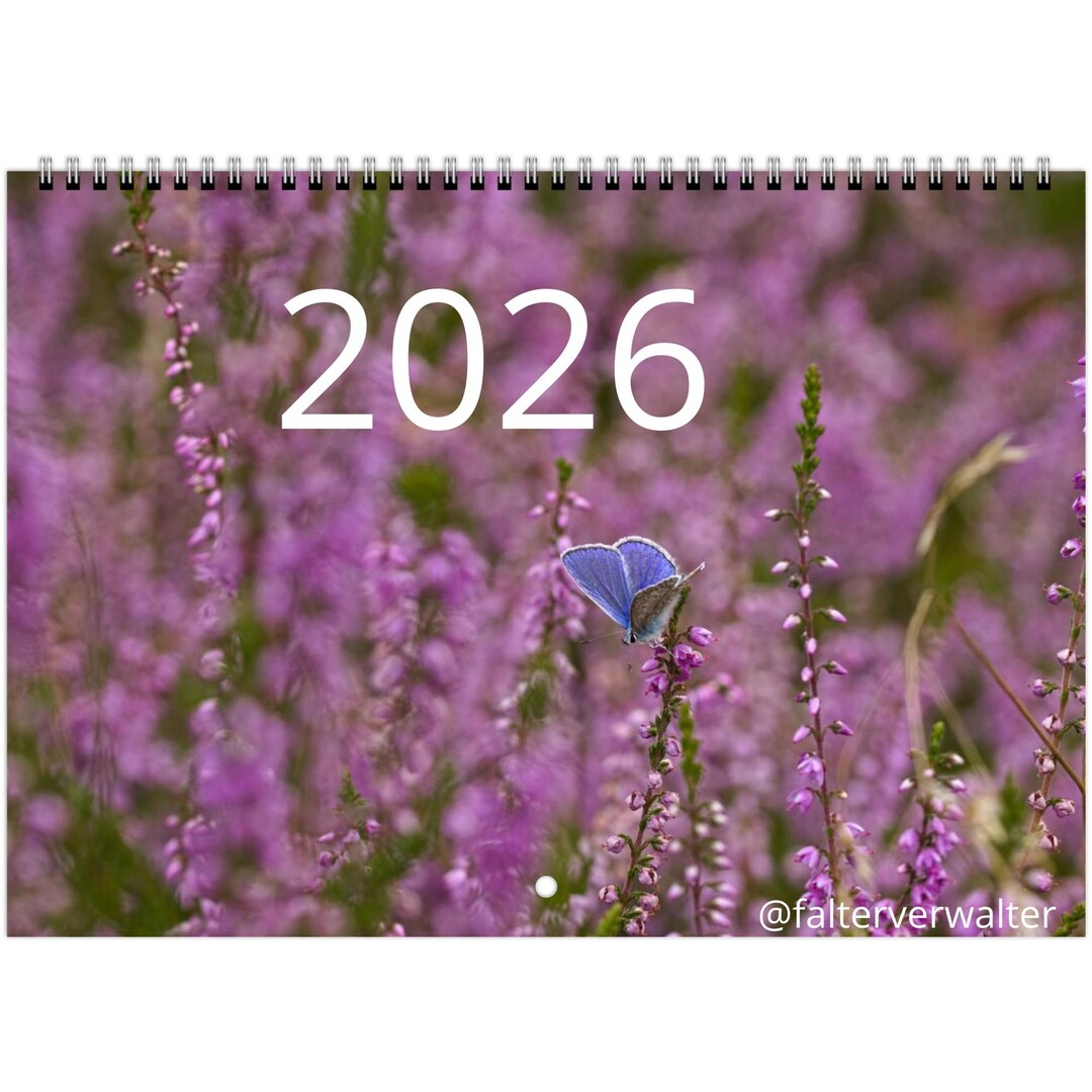 Butterfly Wall Calendar 2026 - (horizontal - A4 (21 X 29.7 Cm) - Wire-o ...