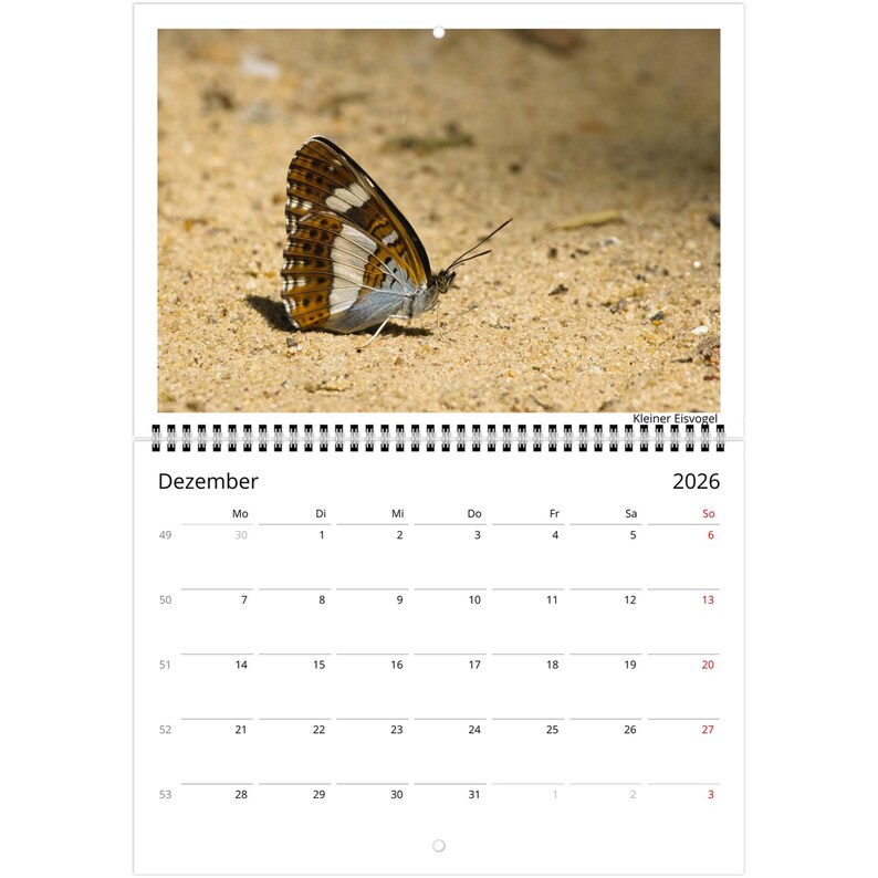 Butterfly Nature Wall Calendar 2026, Horizontal A4, Colorful Monthly ...