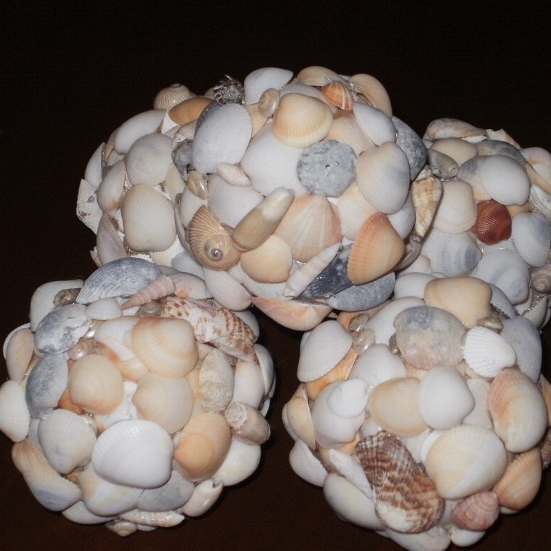 Seashell Centerpiece - Etsy