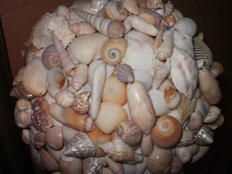 Shell Object D'art...sculpture...centerpiece - Etsy
