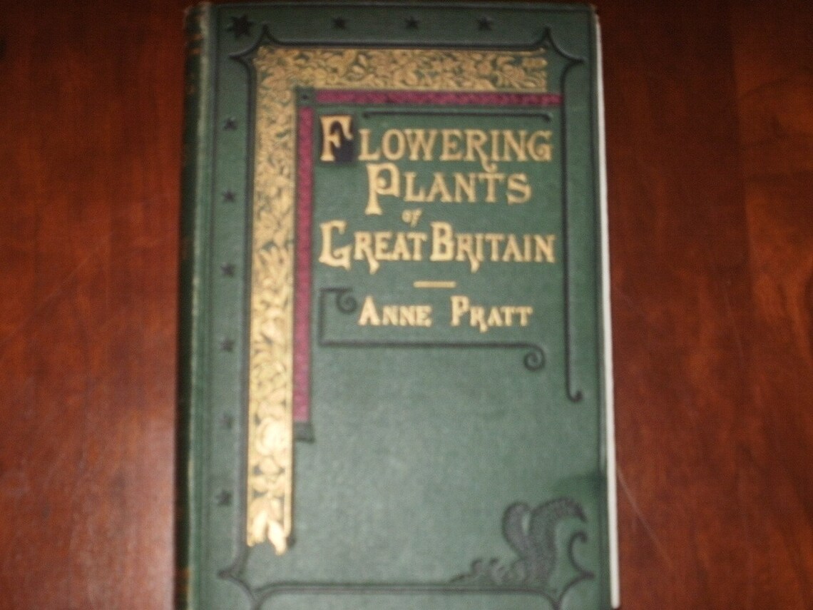 Antique Hand Coloured Print From Flowering Plants by Anne Pratt...1875 ...