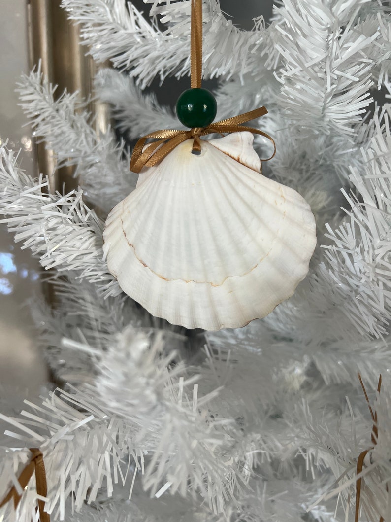 Palm Tree Shell Ornament, Scallop Shell With Decorated Palm Tree - Etsy