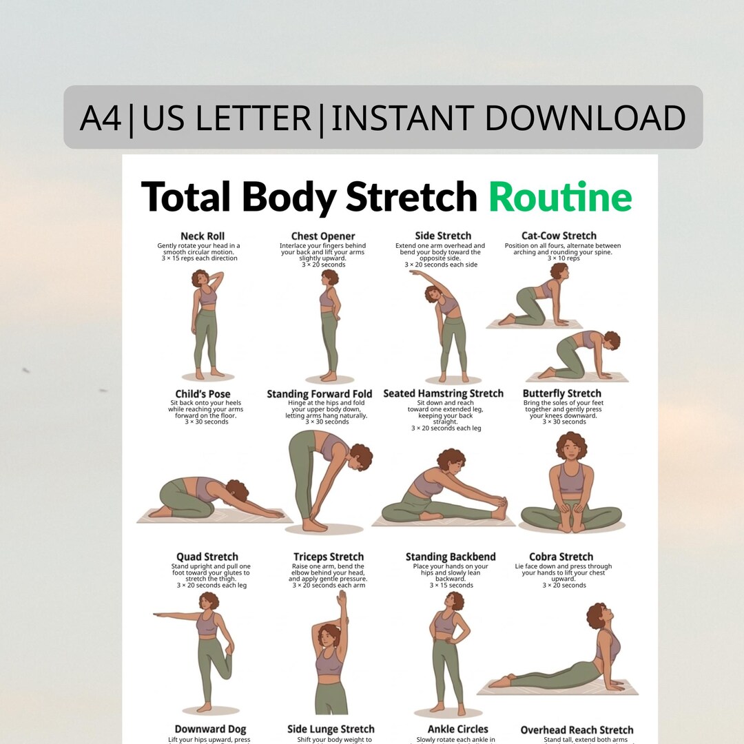 Full Body Stretch Poster With Flexibility Exercises | Home Stretch ...