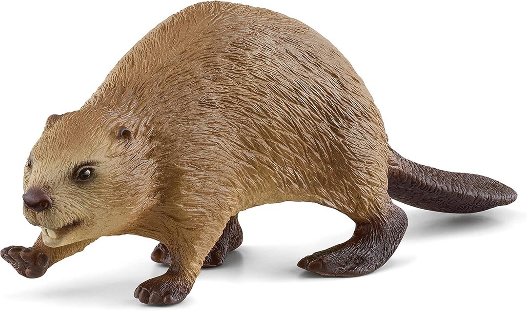 Schleich - Wild Life - Beaver - Figurine - Fairy Garden - Diorama ...