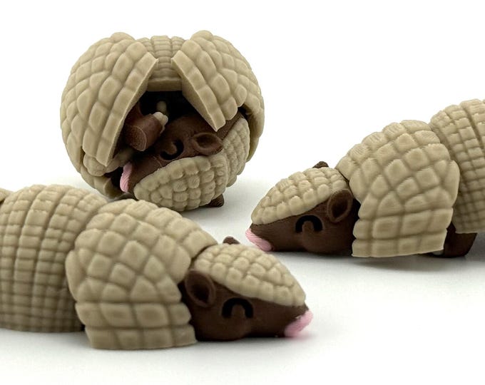 Armadillo Mount, Hand Carved Armadillo, Glyptodon Taxidermy Animal,folk ...
