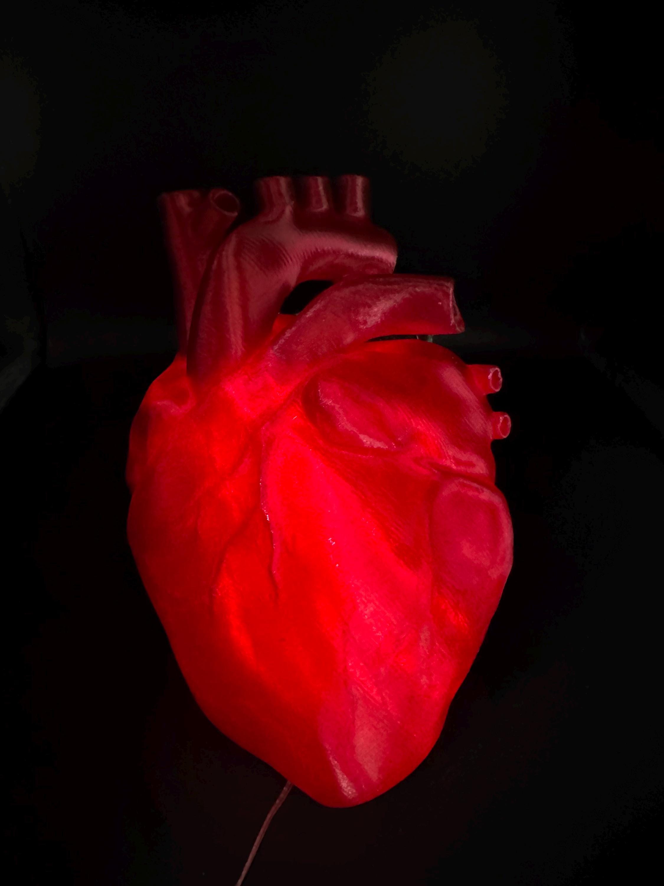 3D Printed Heart for 12ft Skeleton | Halloween Prop Accessory | Fits ...