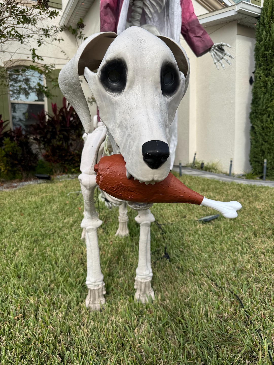 Turkey Leg for 7FT Skeleton Dog | Thanksgiving Skelly Dog Accessory ...