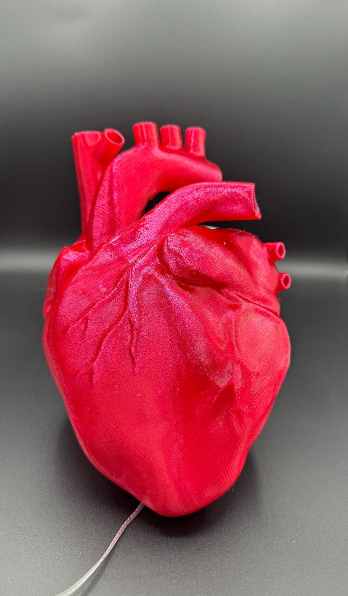 3D Printed Heart for 12ft Skeleton | Halloween Prop Accessory | Fits ...