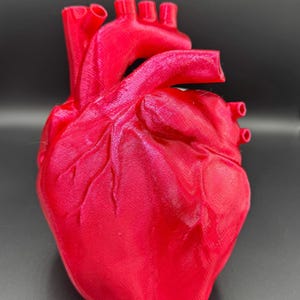 3D Printed Heart for 12ft Skeleton | Halloween Prop Accessory | Fits ...