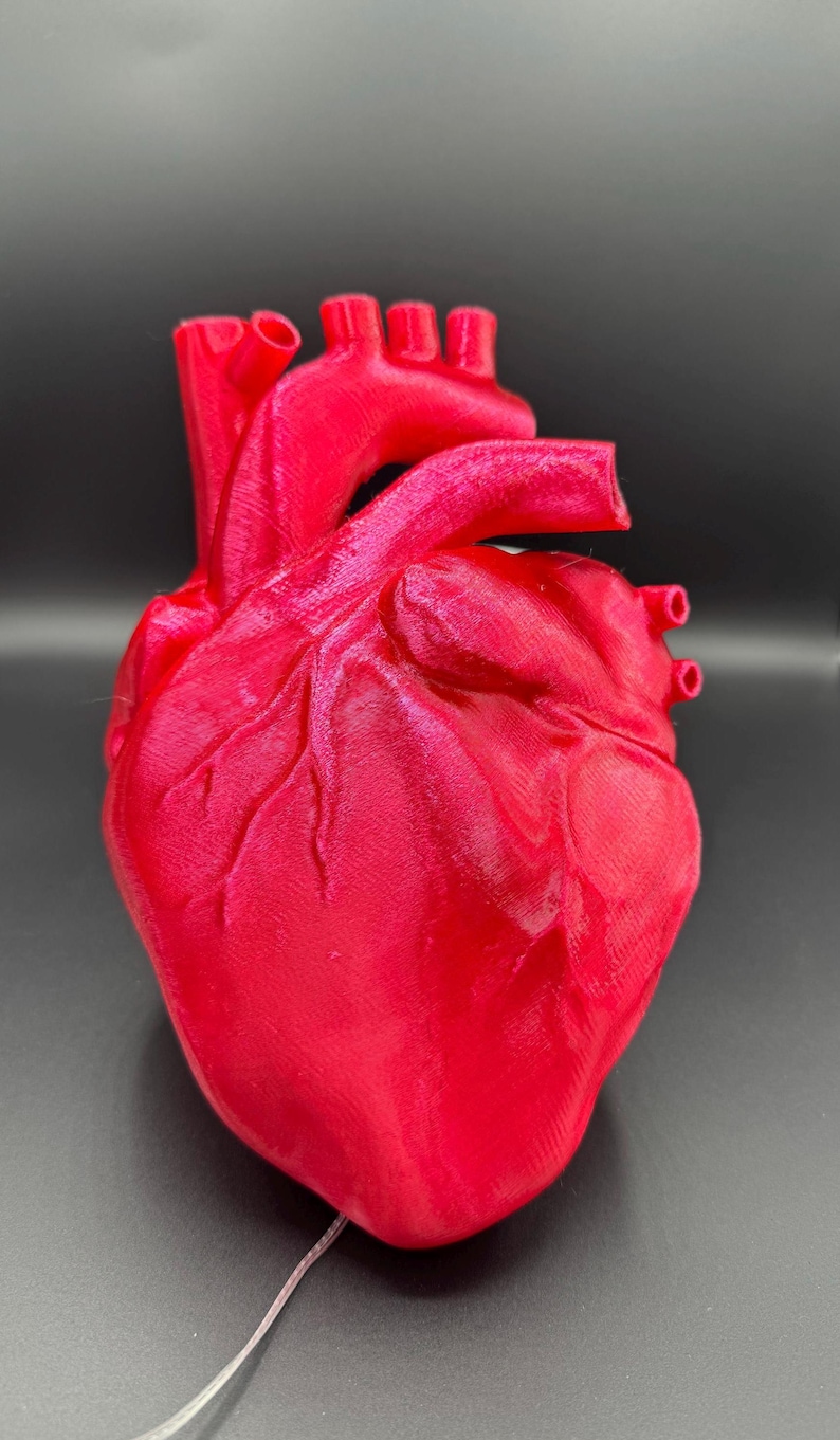 3D Printed Heart for 12ft Skeleton | Halloween Prop Accessory | Fits ...