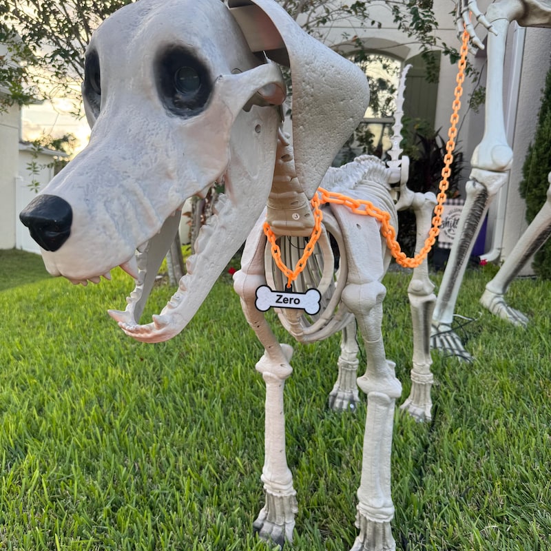 Dog Skeleton Yard Decor - Etsy