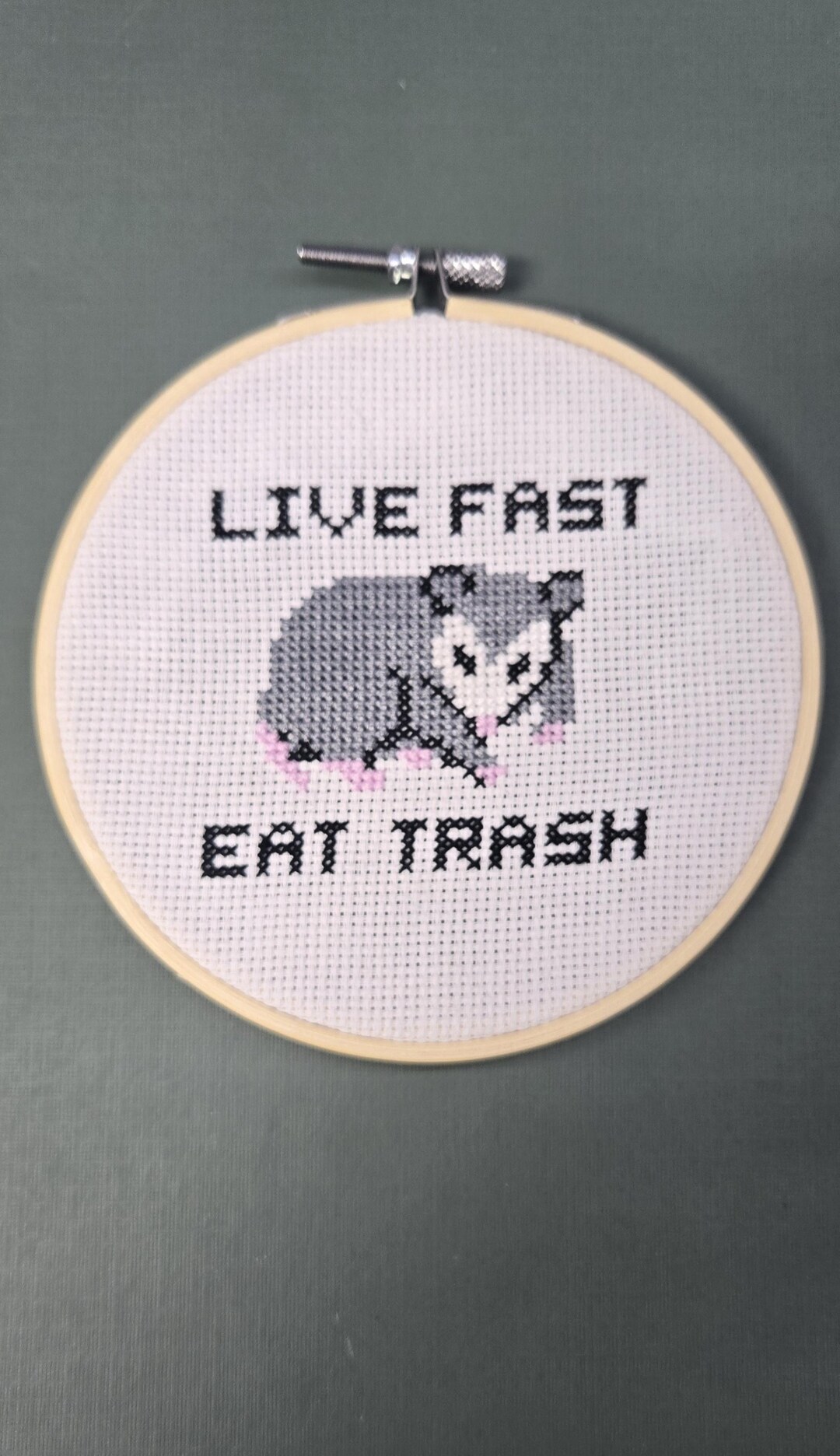 Live Fast Eat Trash Possum - Etsy